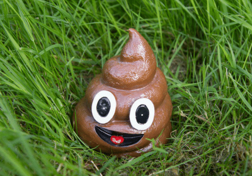 poo | The Biting Truth