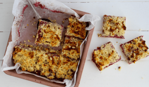 Raspberry Coconut Slice | Kid-friendly | The Biting Truth